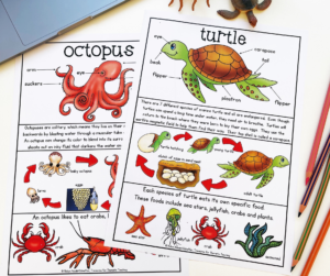 Home - Treasures for Thematic Teaching